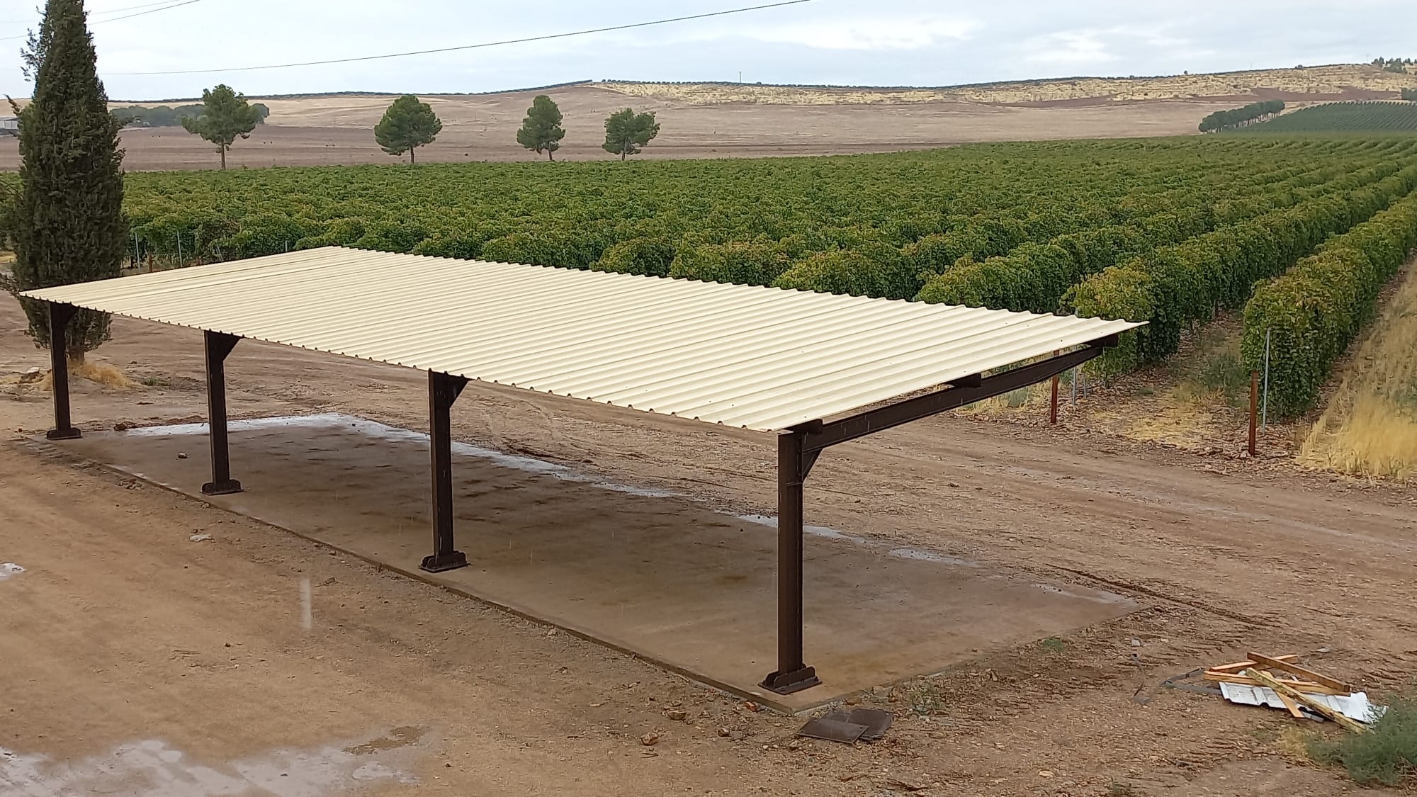 Ménsula Recta tipo IPE en Bodega Las Copas, Toledo